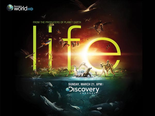 IPTV-ийн сувгууд: Дэлхийн шилдэг өндөр нягтралын (HD) сувгууд