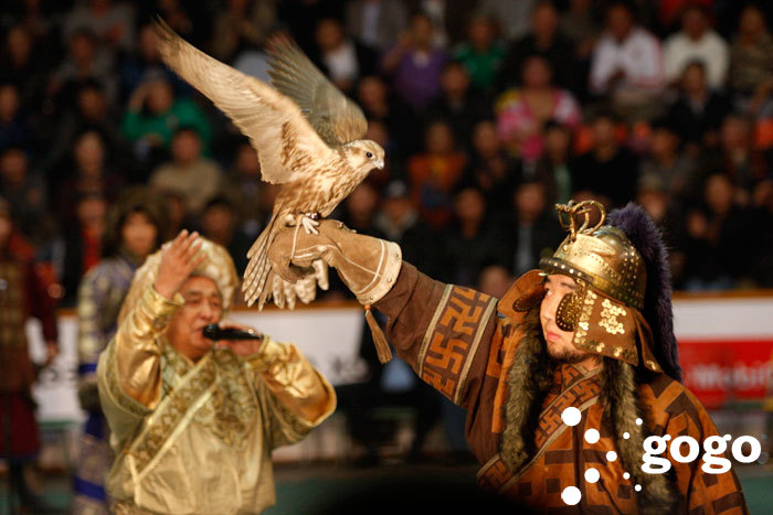 "Шонхор" Монголчуудын бахархал боллоо