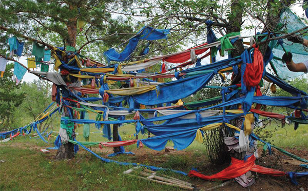 “Ээж мод”-оо дээдэлж биш боомилж хүслээ гүйцээгчид