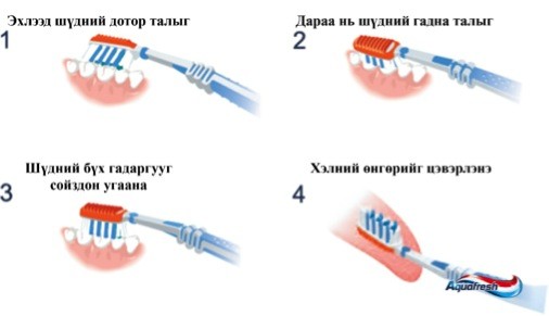 Шүдээ хэрхэн зөв угаах вэ
