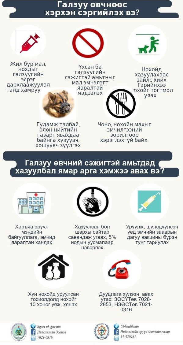 Галзуу өвчний эрсдэлгүй газар манай улсад байхгүй