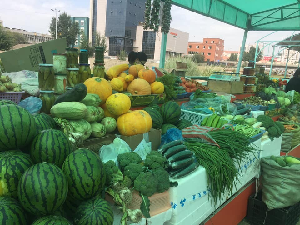 Шинэ ногооны үзэсгэлэн худалдаа гарлаа
