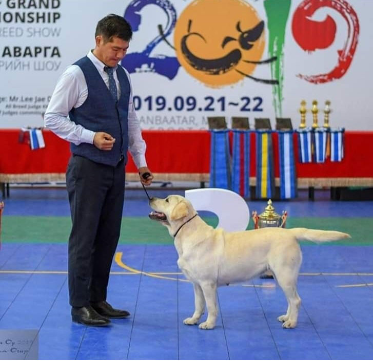 "Нохойтой хүүхдүүд хувийн зохион байгуулалт сайтай, энэрэнгүй, зөв хүн ...