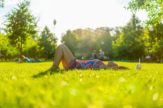 Misheel Residence: Монголын хамгийн том ногоон байгууламжтай орон ...