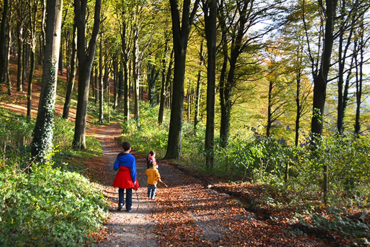 Misheel Residence: Монголын хамгийн том ногоон байгууламжтай орон ...