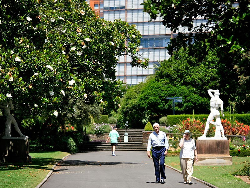 Misheel Residence: Монголын хамгийн том ногоон байгууламжтай орон ...