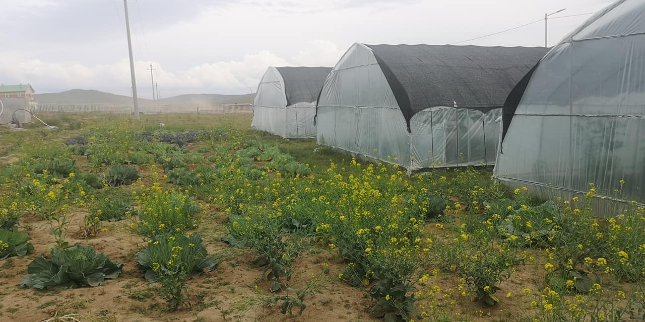 Дотуур байр, хүлэмж, номын сан...Хотын төвөөс 50 км-ийн зайтай СХД-ийн ...