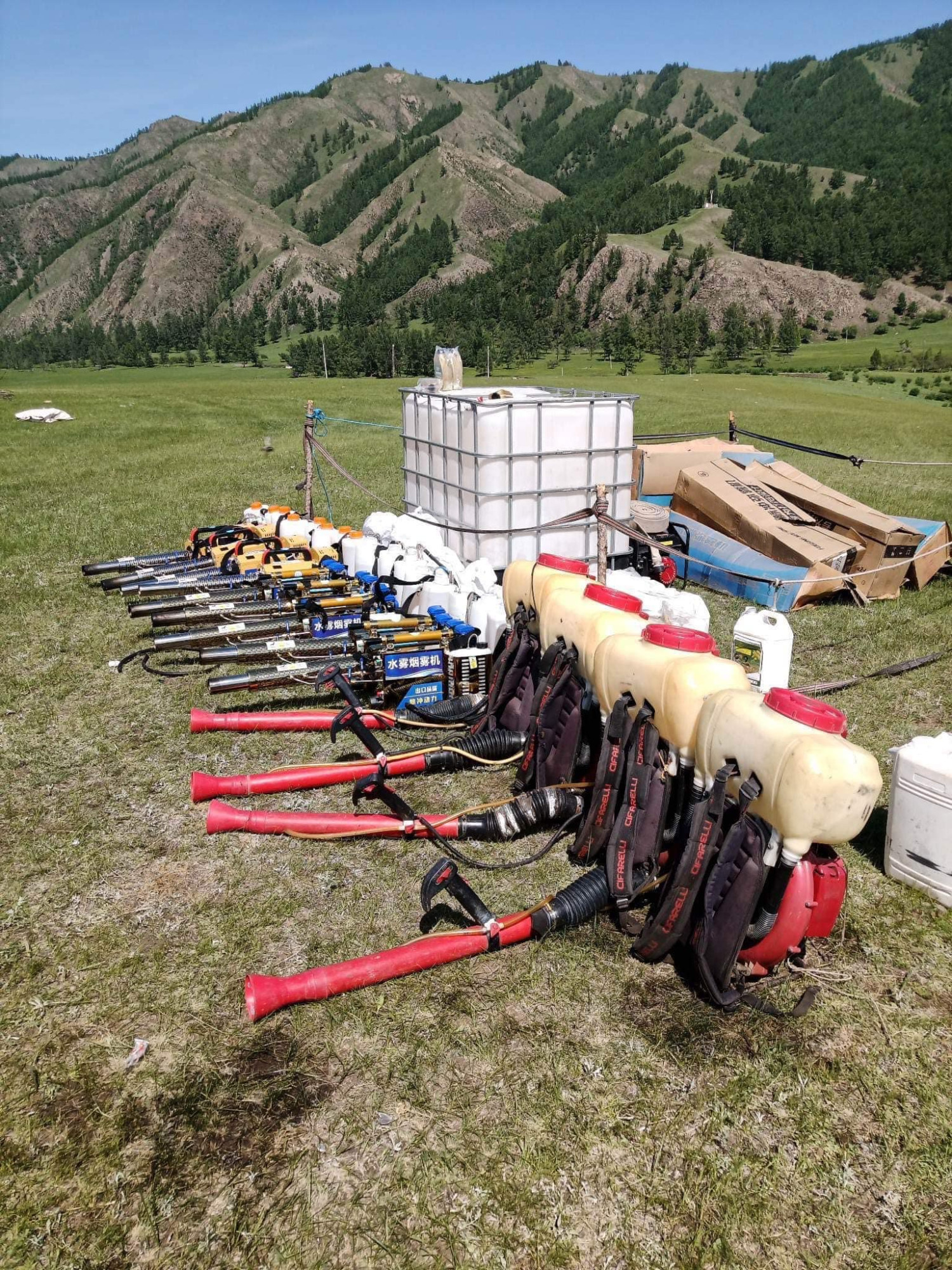 Энэ жил 13 тэрбум төгрөгийг ойн хөнөөлт шавжтай тэмцэхэд зарцуулна