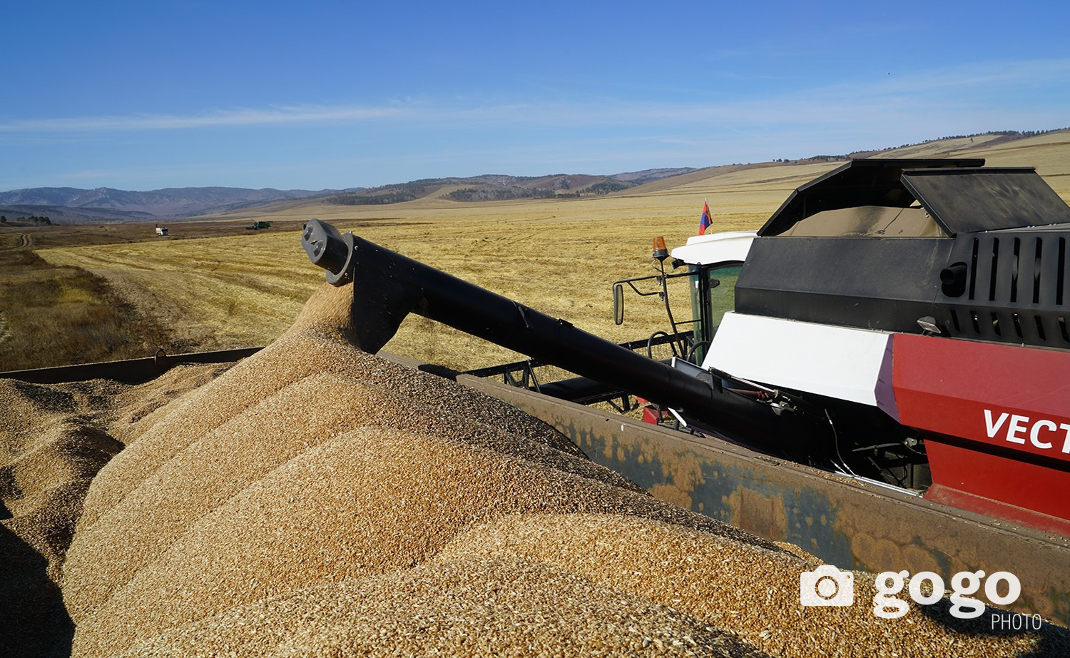 Улаанбуудайн экспортоор ОХУ, Украин тэргүүлдэг ч тариалалтаар Хятад ...