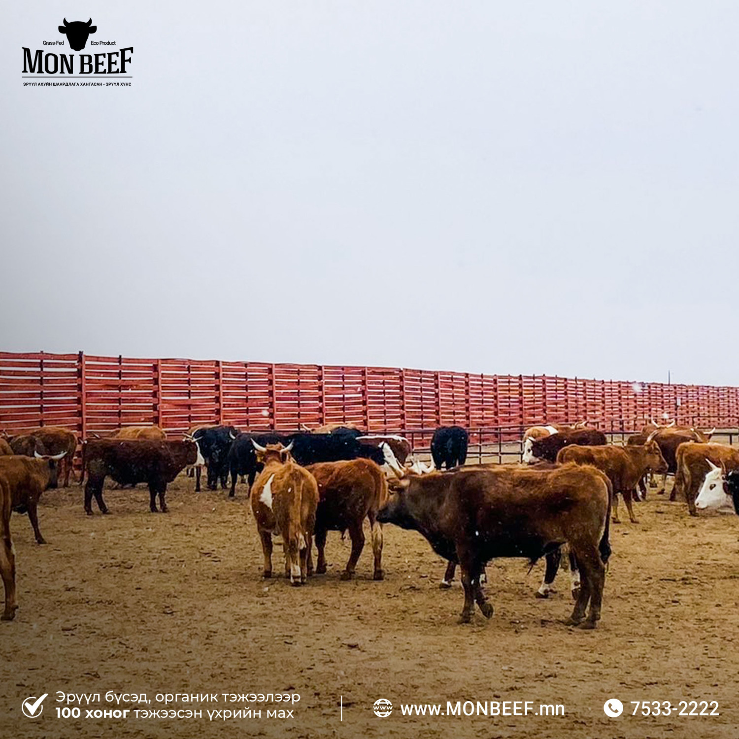 Монбийф брэнд: 50 гаруй мэргэжилтнийг орон нутагтаа ажиллах боломжоор ...