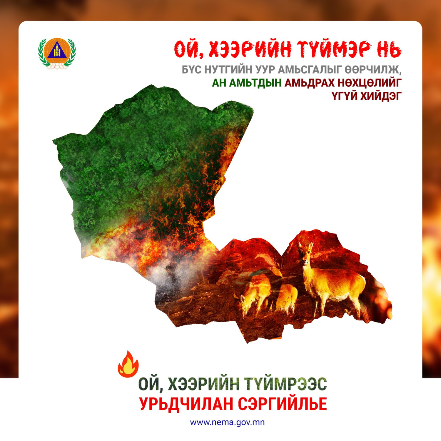 Ой хээрийн түймэрт 19 453 га талбай шатжээ