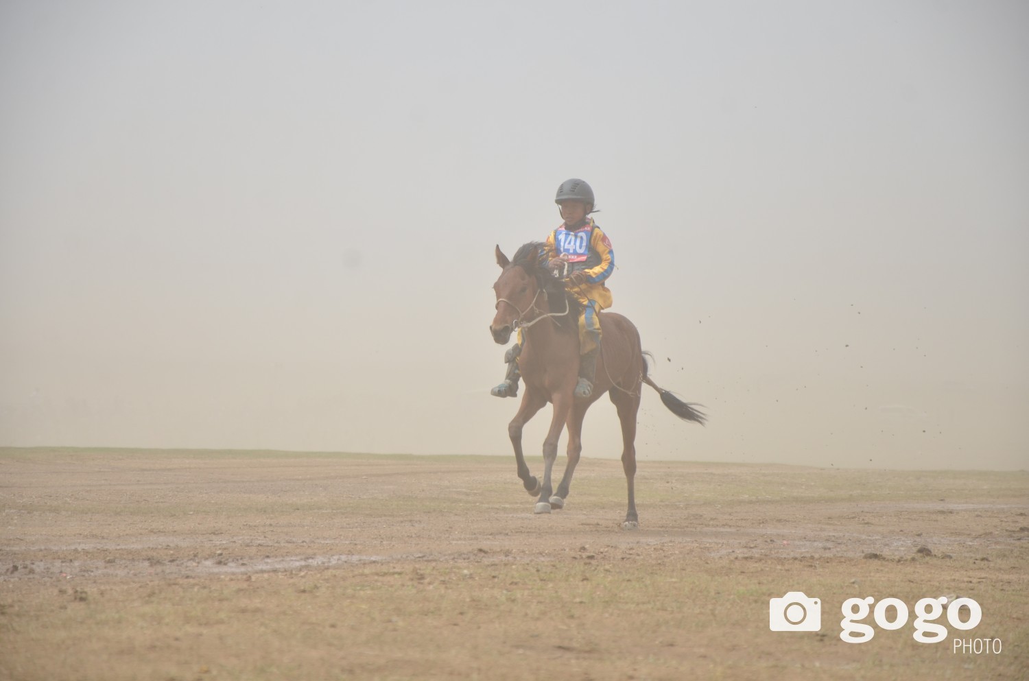 Colt of Kh.Bat-Erdene comes first