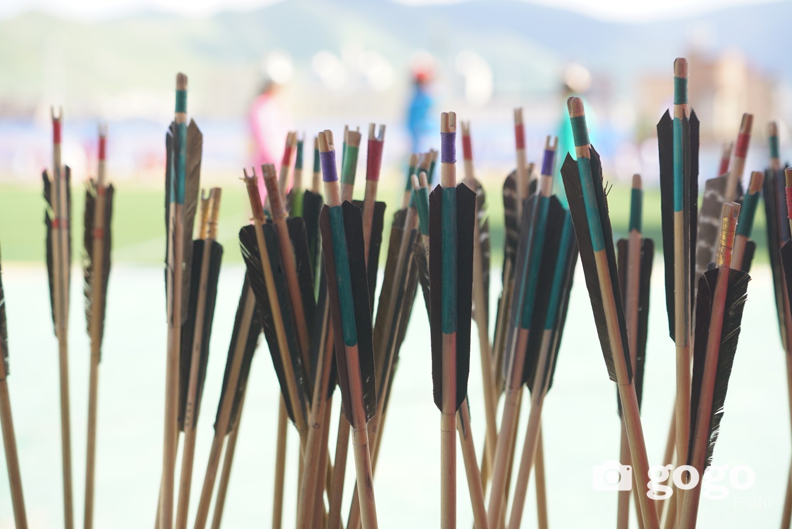 Үндэсний сурын харваанд 1000 гаруй харваач оролцож байна