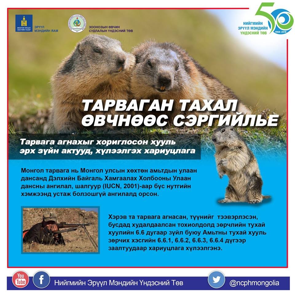 Тарваган тахал өвчнөөс сэрэмжлүүлж байна