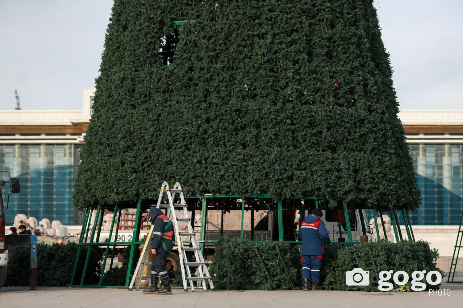 ФОТО: Талбайн гацуурыг засаж байна