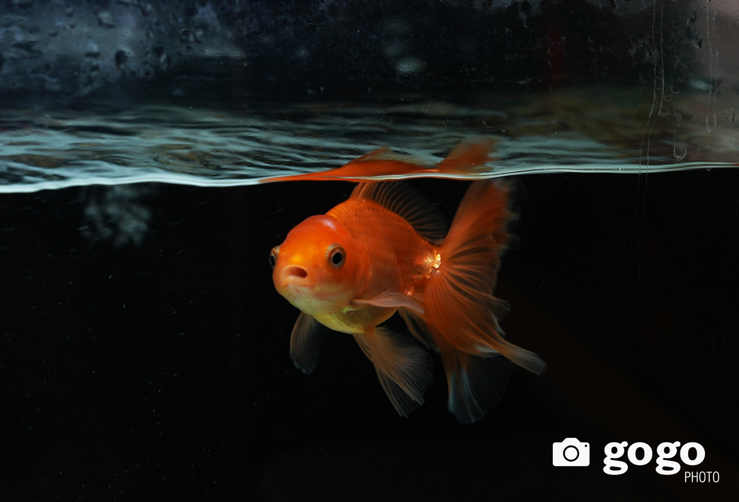 "Тэдэнд багшлах нь сэтгэлтэй хүний хийх ажил"