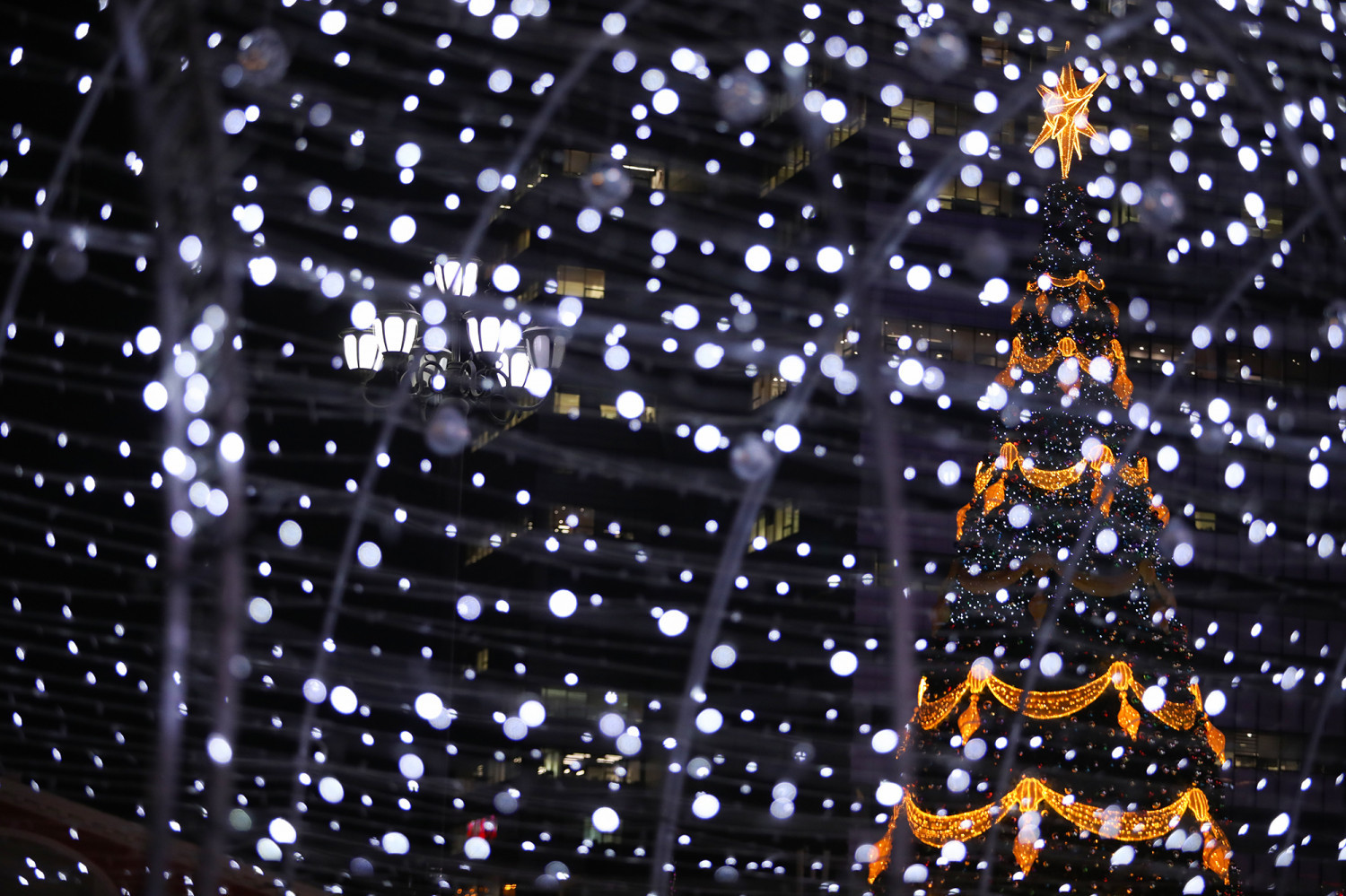 PHOTO: “Green fest-2022” at Sukhbaatar Square