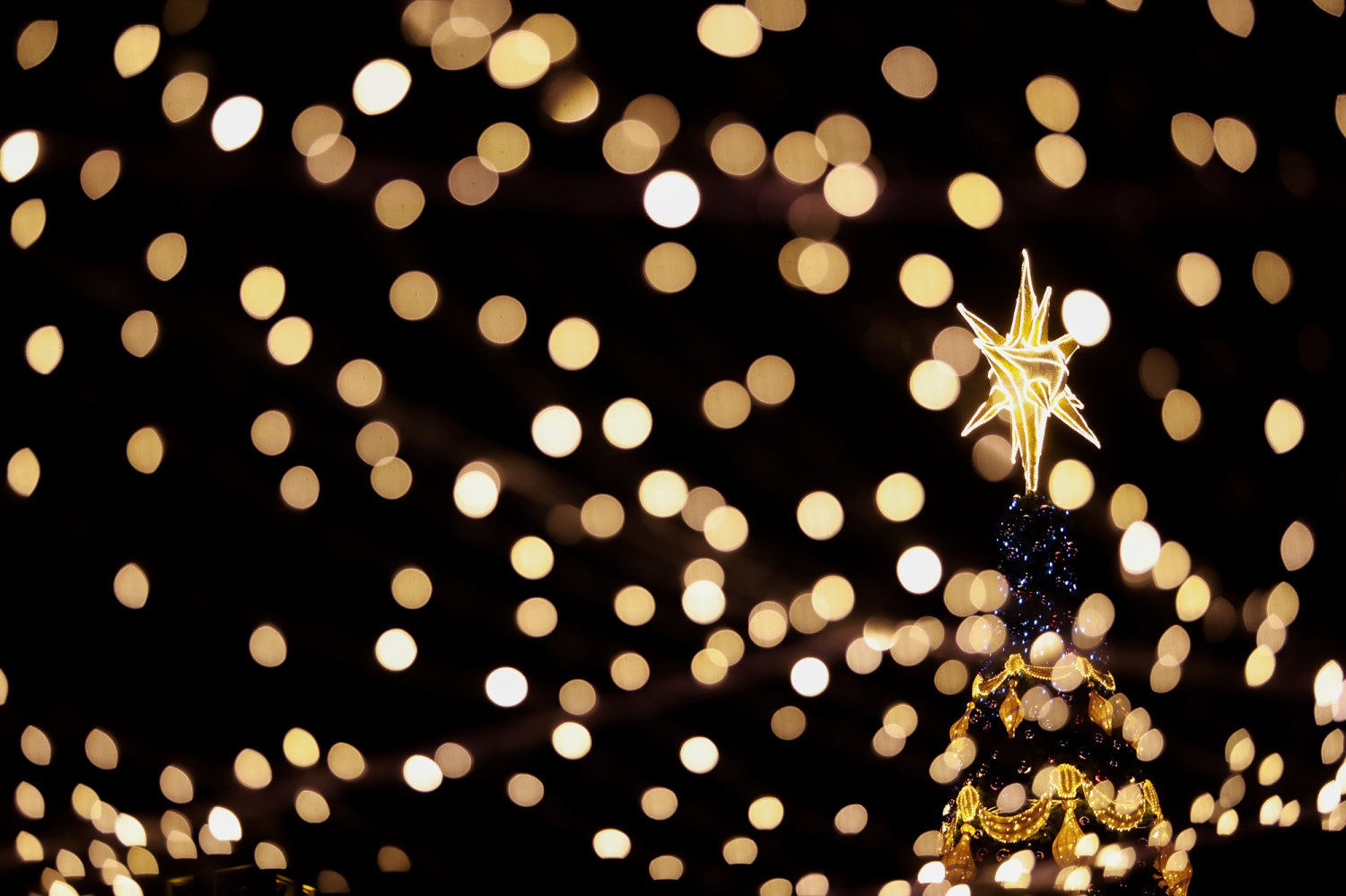 PHOTO: “Green fest-2022” at Sukhbaatar Square