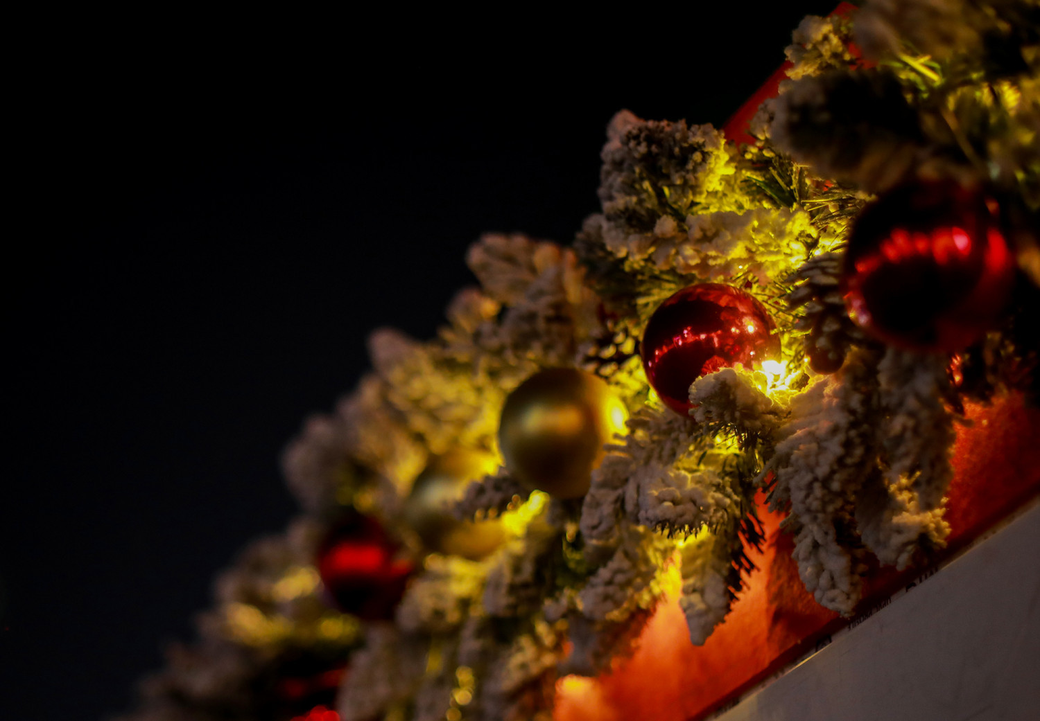 PHOTO: “Green fest-2022” at Sukhbaatar Square