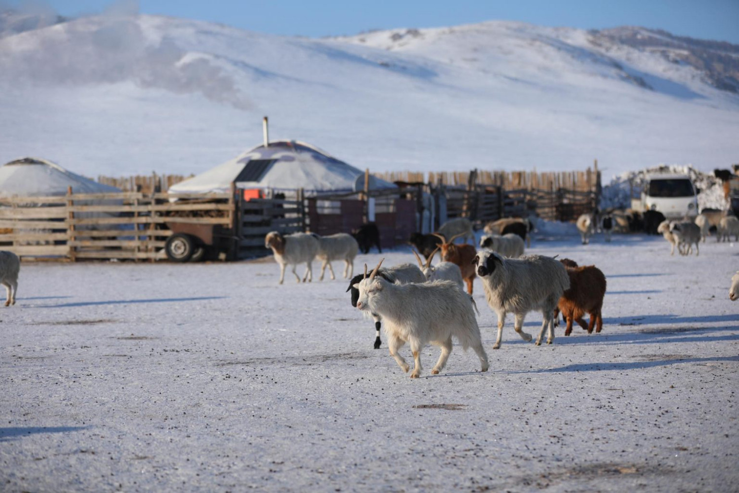 ФОТО ХБНГУ ын Ерөнхийлөгч Ф В Штайнмайэр гэргийн хамт монгол айлд зочлов