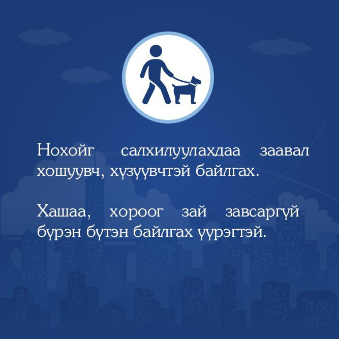 Гэрийн тэжээвэр амьтныг галзуу өвчний эсрэг вакцинд тогтмол хамруулаарай