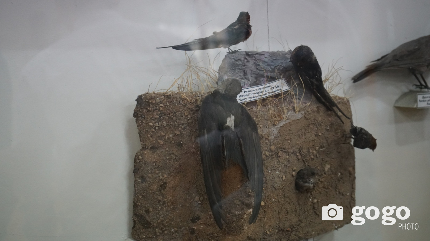 “ОЙ ЯГ...” танин мэдэхүйн өртөөчилсөн аялалд 1000 хүүхэд хамрагдаж байна