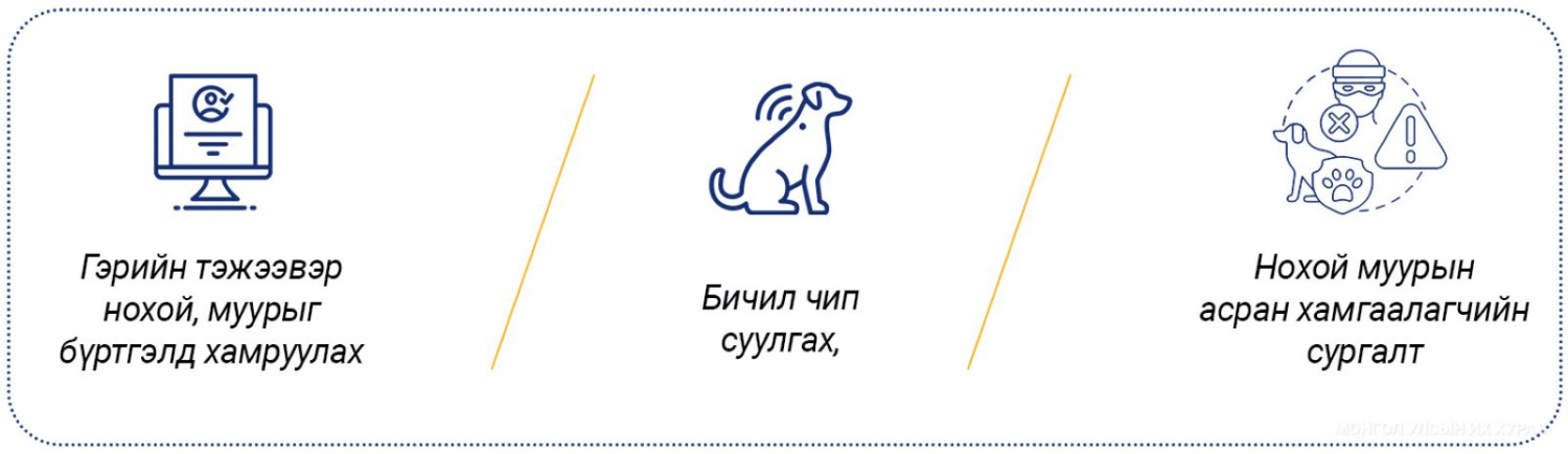 Нохой муурыг байнга уявал гэрийн тэжээвэр амьтны эсрэг хүчирхийлэл гэж