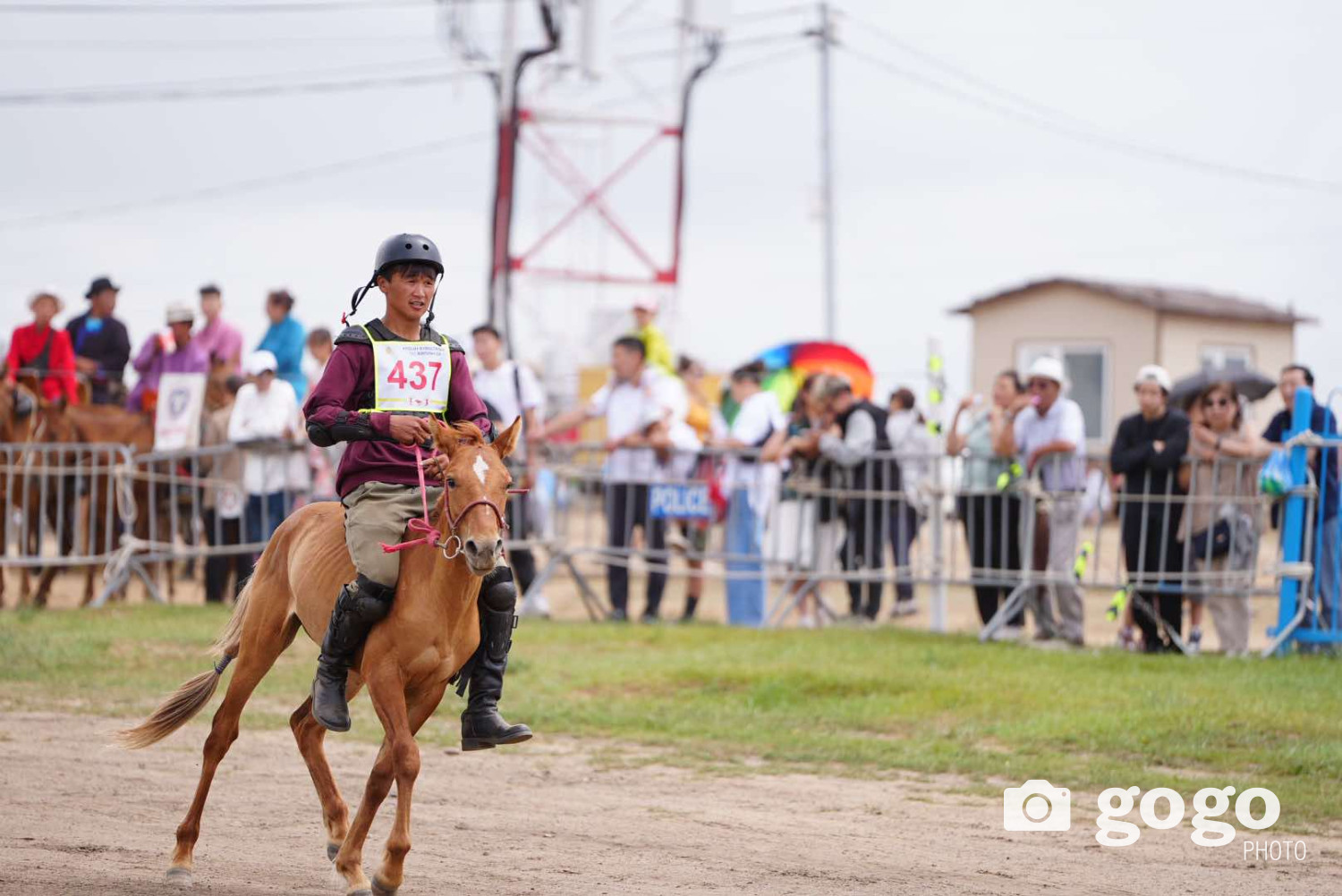 ФОТО: 258 даага уралдахаар бүртгүүлжээ