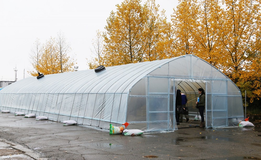 Нийлэг хальсан хүлэмжийг дөрвөн жилийн хугацаатай, хүүгүй зээлээр олгож ...