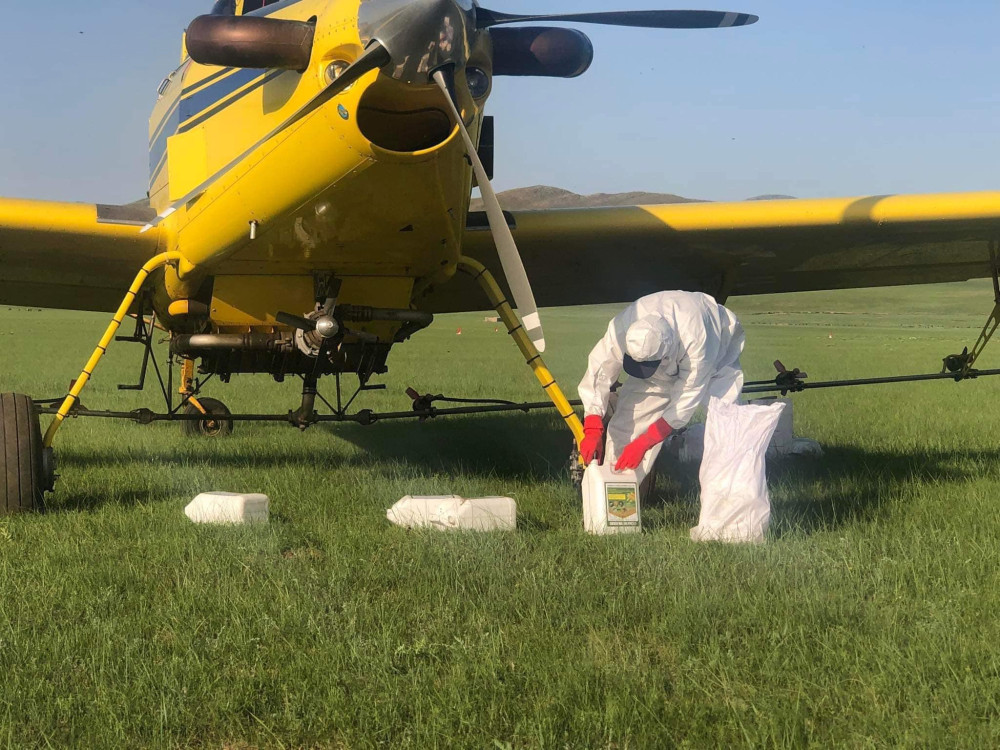 Энэ жил 13 тэрбум төгрөгийг ойн хөнөөлт шавжтай тэмцэхэд зарцуулна