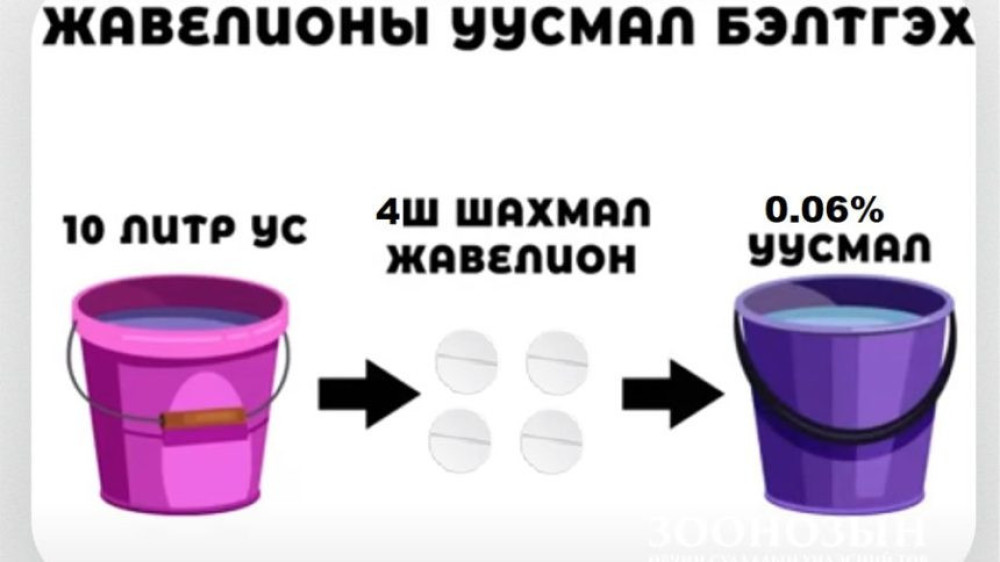 ЗӨВЛӨГӨӨ Гэрийн нөхцөлд халдваргүйжүүлэлтийн бодис бэлтгэх арга