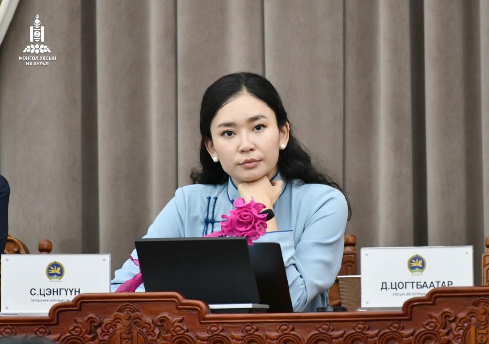 УИХ ын гишүүн С Цэнгүүн Эрчим хүчний реформын үндэсний хорооноос яагаад