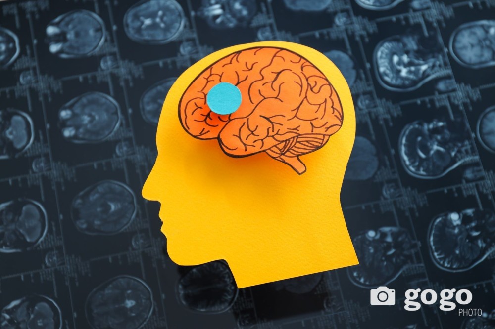 Гэдэсний микробиом нь тархины үйл ажиллагаанд нөлөөлж сэтгэлзүйн эрүүл ...