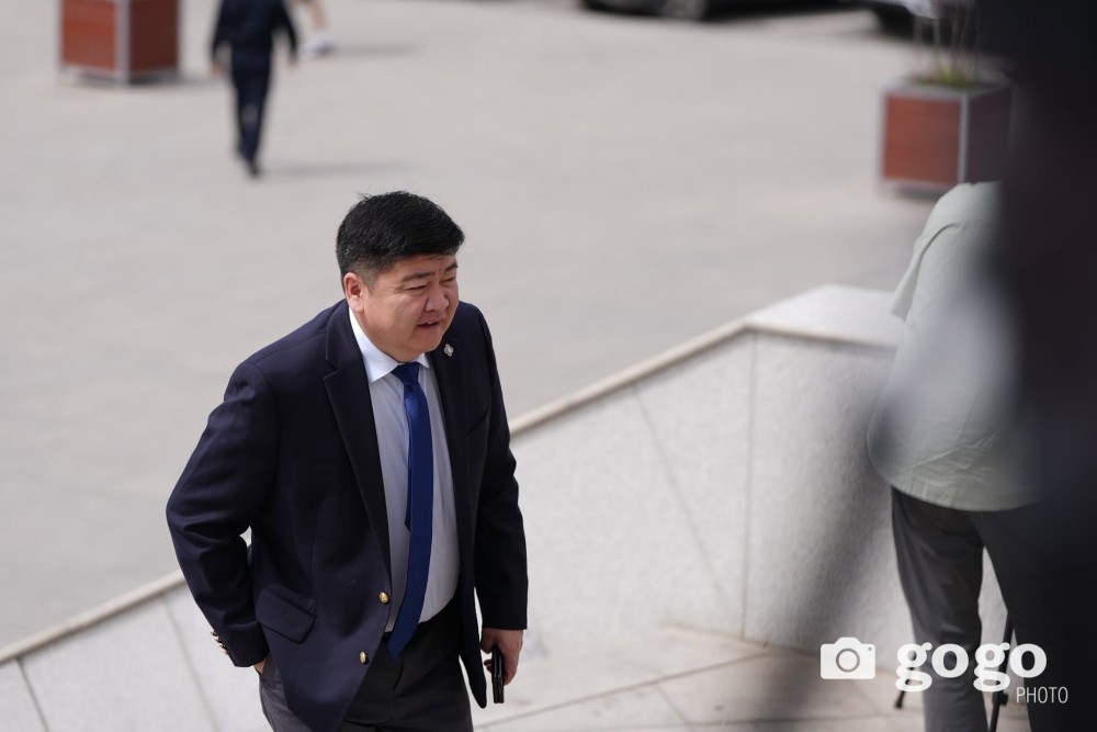 Ц Сандаг Очирыг Төрийн байгуулалтын байнгын хорооны даргаар сонголоо