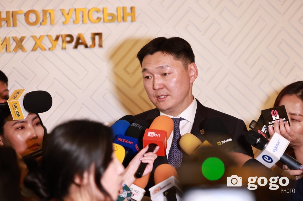 Г Тэмүүлэн Шинэ Засгийн газрыг төсөв санхүүгийн чиглэлээр л дэмжиж ажиллаж болно