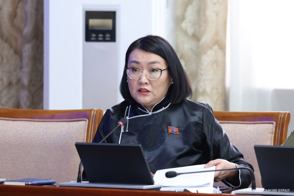 А Ариунзаяа Хамтарсан засгийн газрын асуудлыг намууд дотооддоо шийдвэрлэх ёстой