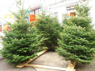 Гацуур модны хулгайчид шинэ жилээр олширдог