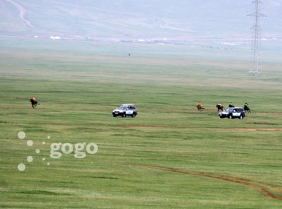 Дундговийн сартай хээр даага түрүү магнай боллоо
