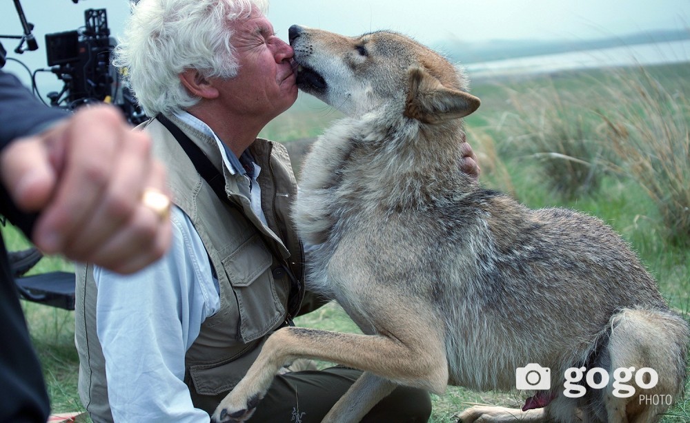 "Чонон сүлд" киног хаанаас үзэх вэ?