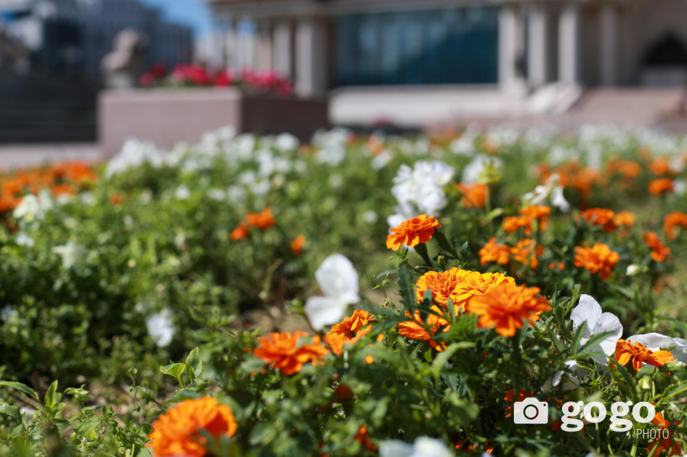 Улаанбаатарт +30 градус дулаан